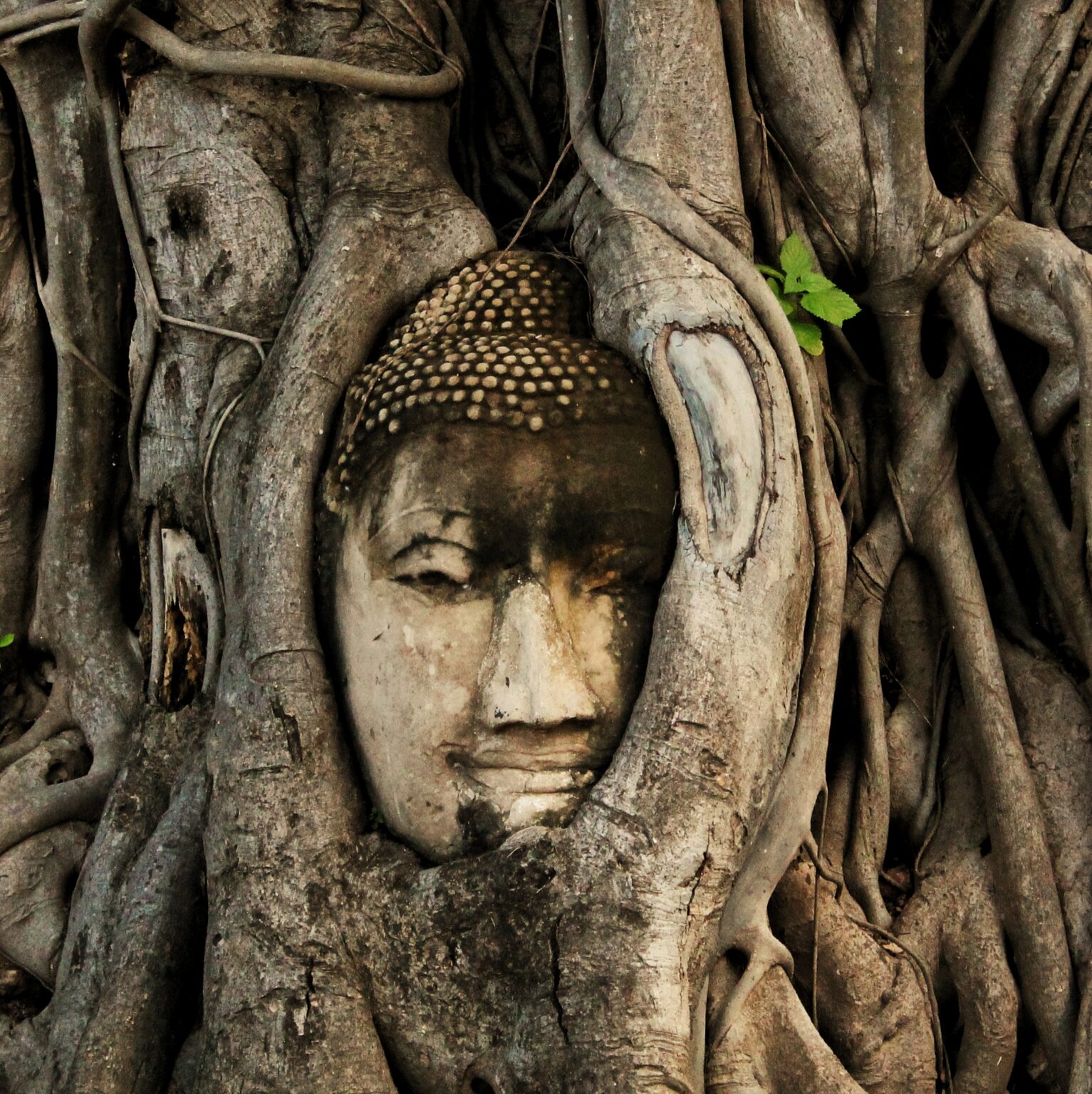 Ayutthaya Heritage Experience - Europe2Asia