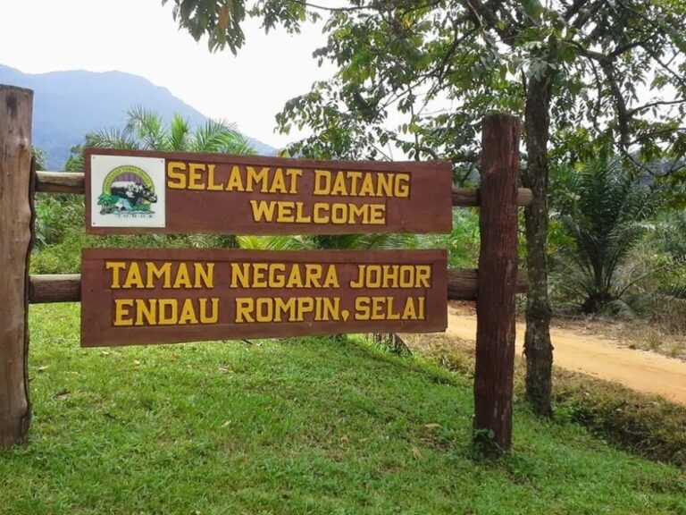 Into the Wild: A Three-Day Romp through Malaysia’s Rompin State Park ...